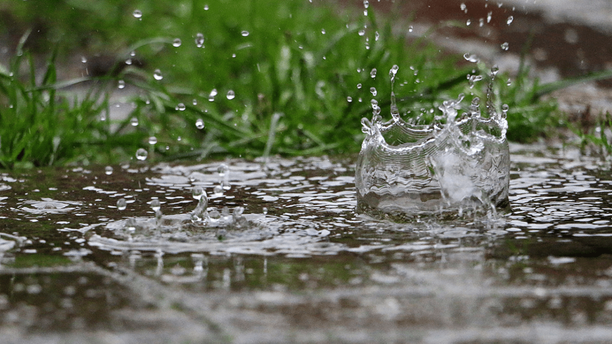 Barefoot in the Rain – Melissa Brooks-Cuffee